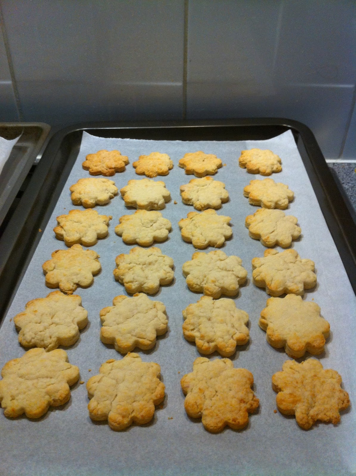 Darnae's Weightloss & Recipes Page: Milk Arrowroot Biscuits